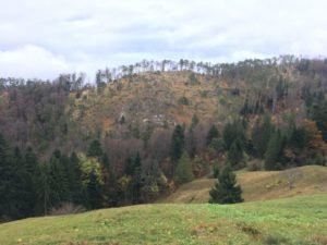 Hiking Near Basel - Explore Stunning Nature Park Thal