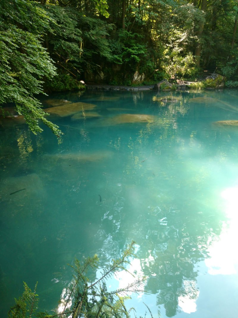 Blausee Lake - Explore Blue Lake in Switzerland - Go Look Explore