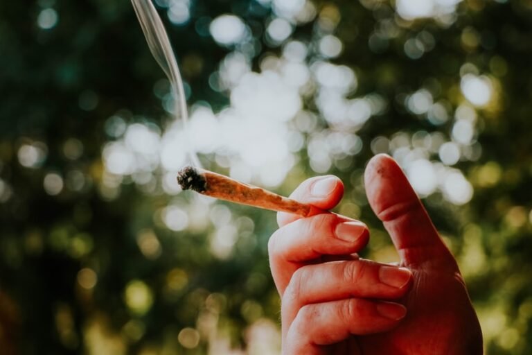 All You Need to Know About Weed in Panama - Go Look Explore